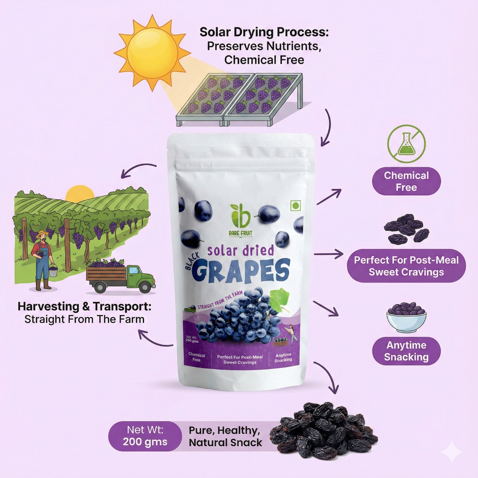 Barefruit Solar Dried Fruits & Healthy Snacks | Shark Tank India